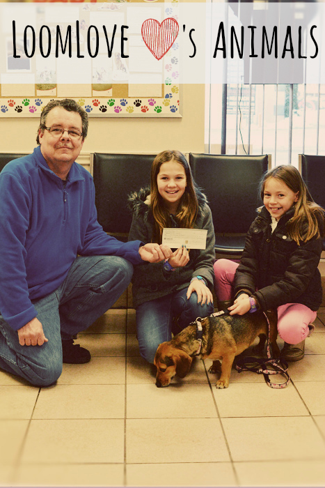 LoomLove.com Raises $800 to give to For the Love of Paws Animal Rescue